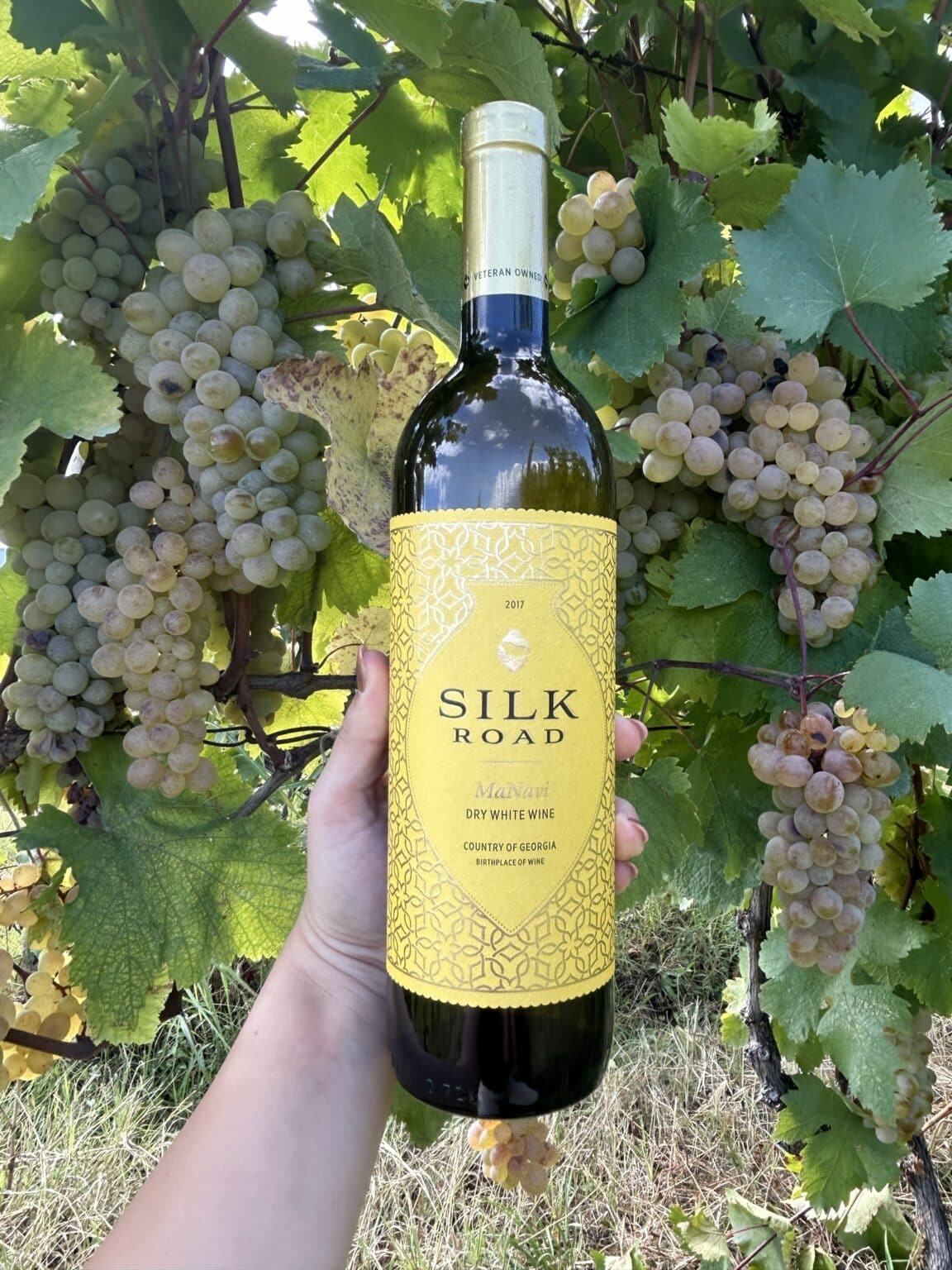 Top Questions About Georgian Wine Answered | Silk Road Wines